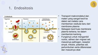 Transport Sel atau transport membran seluler | PPTX