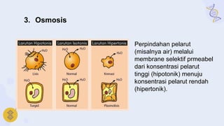 Transport Sel atau transport membran seluler | PPTX