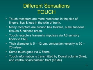 03.Lect-2 Sensory system-PSL-132-Dr.Zahoor.ppt