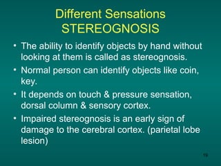 03.Lect-2 Sensory system-PSL-132-Dr.Zahoor.ppt