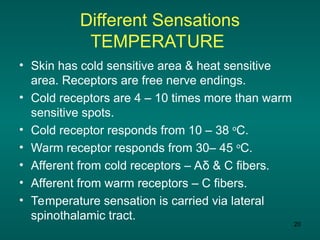 03.Lect-2 Sensory system-PSL-132-Dr.Zahoor.ppt