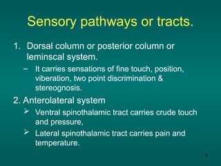 03.Lect-2 Sensory system-PSL-132-Dr.Zahoor.ppt