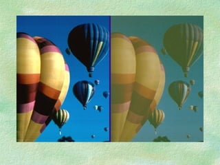 Eye health and vision standards for lifeguards | PPS