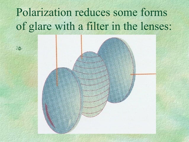 Eye health and vision standards for lifeguards | PPS | Eye and Vision ...