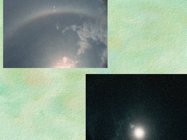 Eye health and vision standards for lifeguards | PPS | Eye and Vision ...