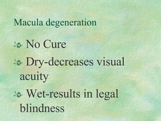 Eye health and vision standards for lifeguards | PPS