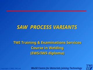 03.SAW process variants-EWS cours....e.ppt