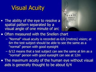 Visual Acuity Standards | PPT