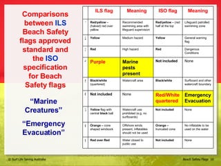Beach Safety Flags | PPS | Surfing and Bodyboarding | Extreme Sports