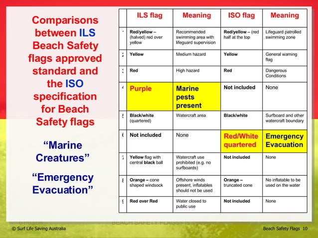 Beach Safety Flags | PPS | Surfing and Bodyboarding | Extreme Sports