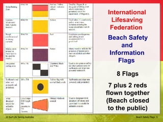 Beach Safety Flags | PPS