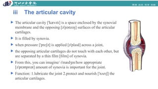 03- Arthrology Pdf Explaining joints in the human body | PPTX