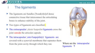 03- Arthrology Pdf Explaining joints in the human body | PPT