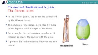 03- Arthrology Pdf Explaining joints in the human body | PPTX