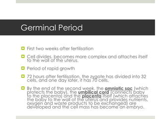03 beginnings of life | PPT
