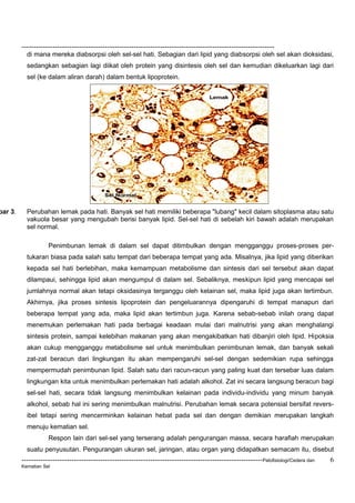 03 cedera dan kematian sel | DOC