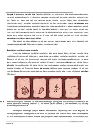 03 cedera dan kematian sel | PDF