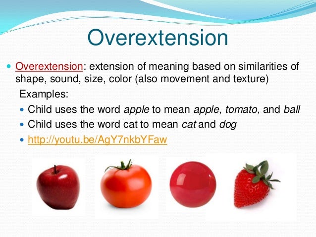 First Language Acquisition Part 2