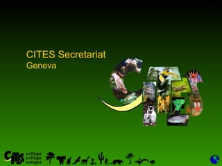 CITES Definitions | PPT