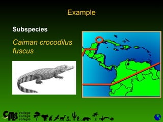 CITES Definitions | PPT