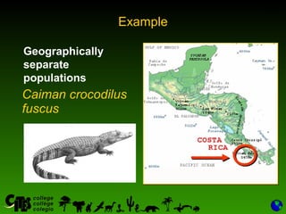 CITES Definitions | PPT