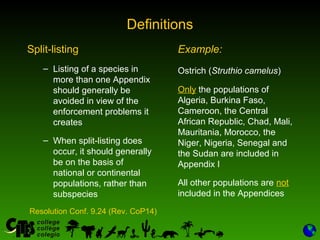 CITES Definitions | PPT