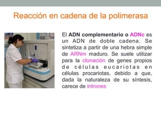 Clase 03 Tecnología del ADN Recombinante | PDF