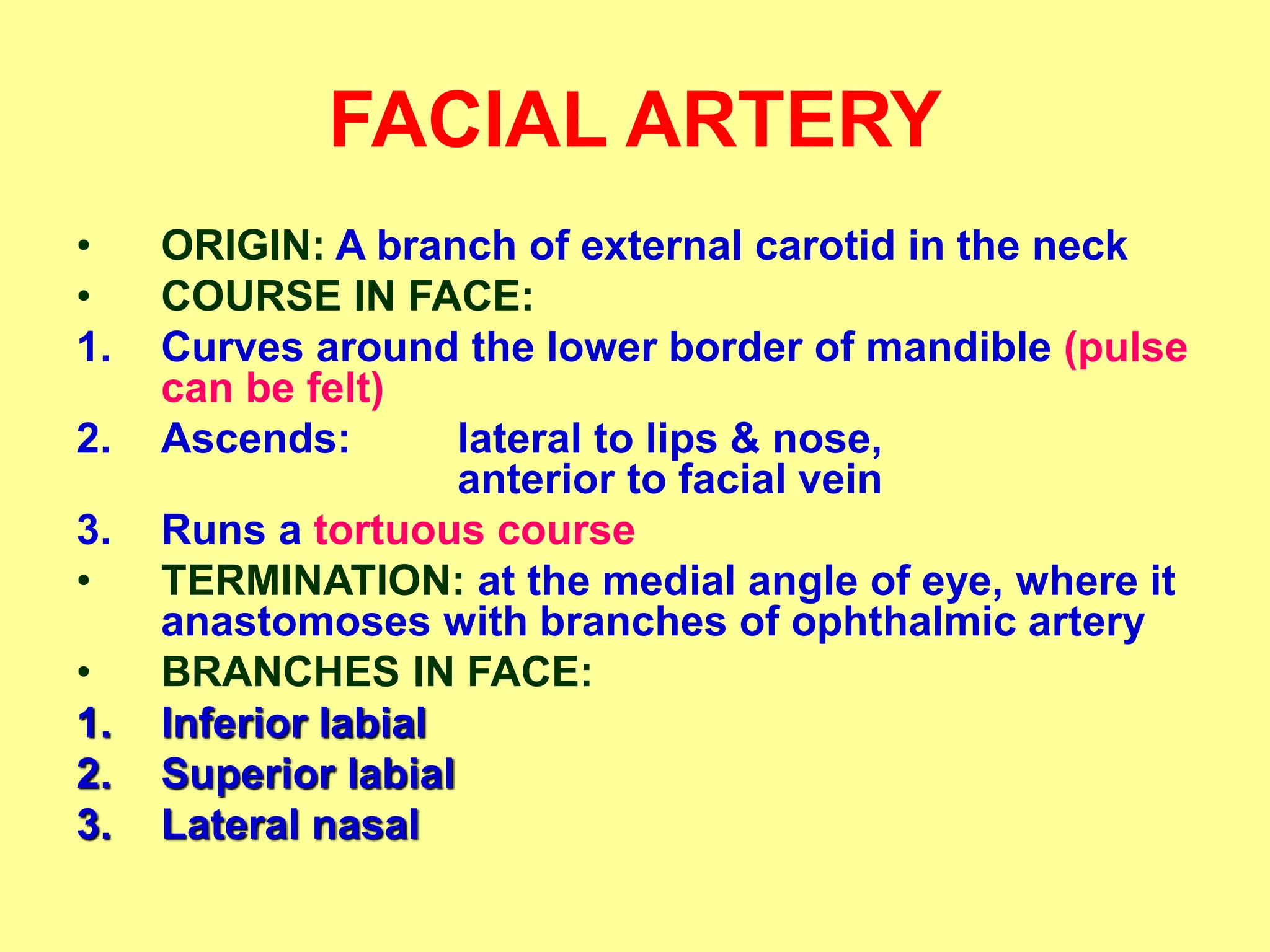 03-Clinical anatomy and related information of face (1).ppt