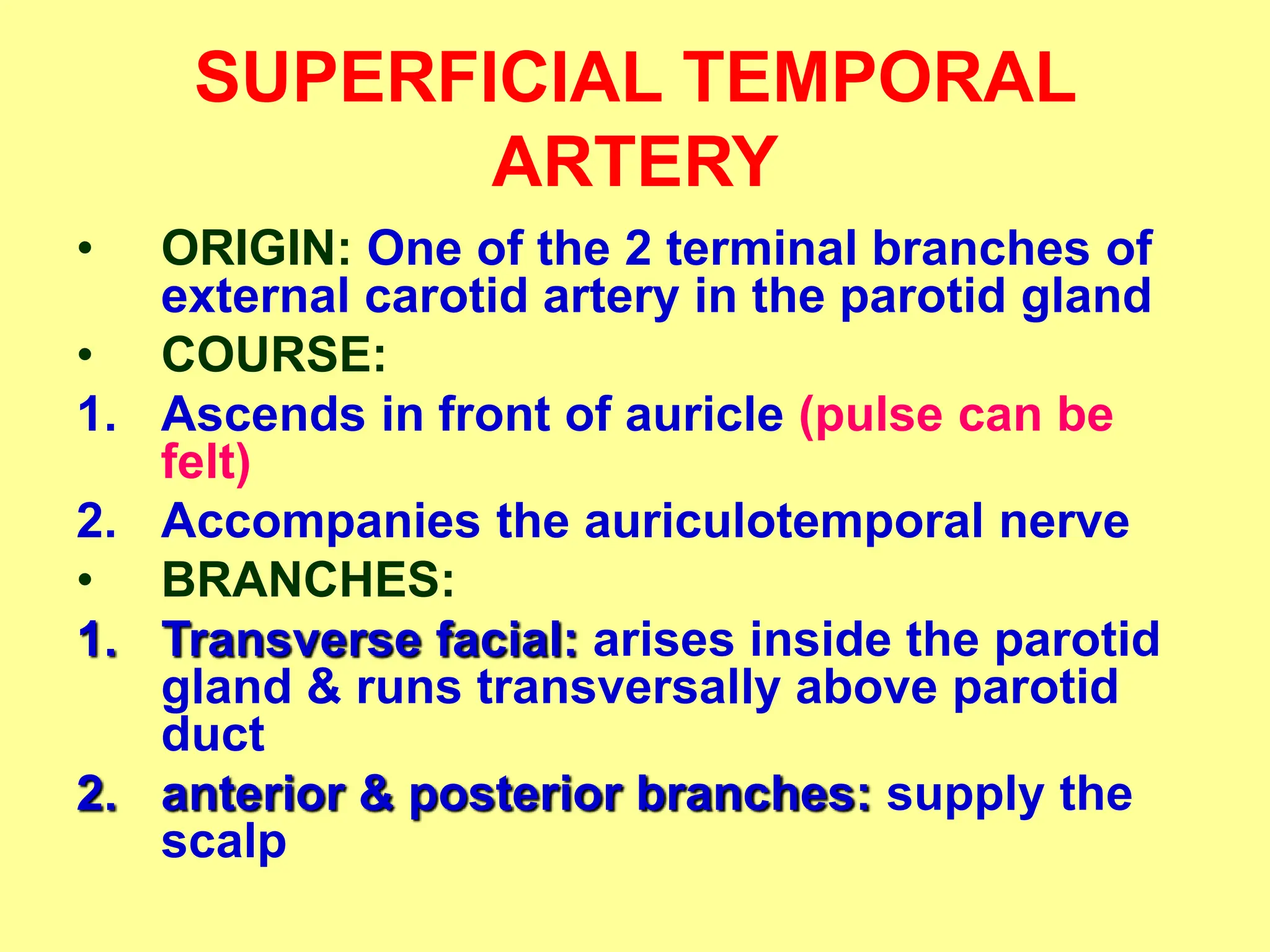 03-Clinical anatomy and related information of face (1).ppt