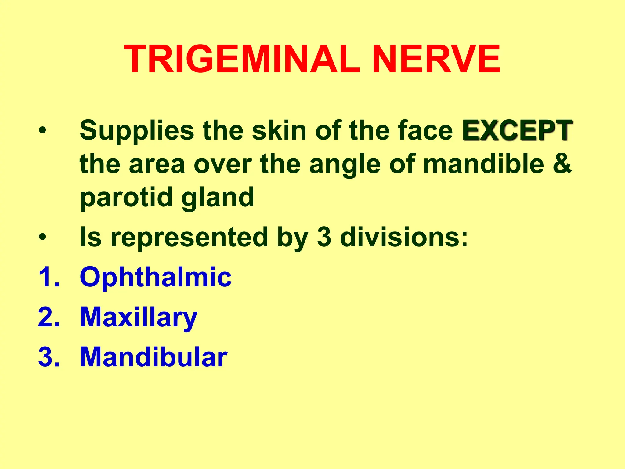 03-Clinical anatomy and related information of face (1).ppt