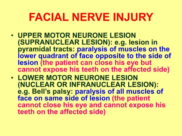 03-Clinical anatomy and related information of face (1).ppt