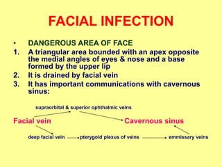 03-Clinical anatomy and related information of face (1).ppt
