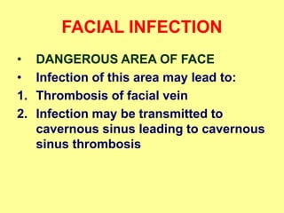 03-Clinical anatomy and related information of face (1).ppt