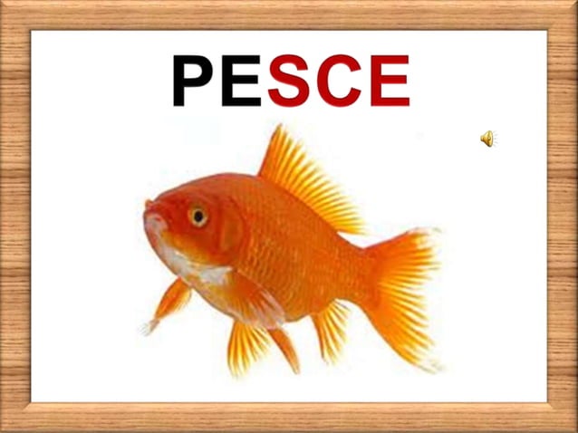 03 come pronunciare i suoni italiani-c