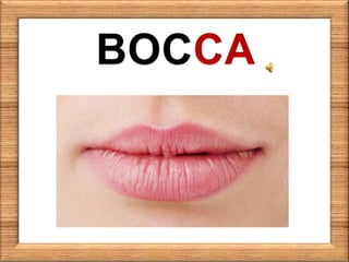 03 come pronunciare i suoni italiani-c | PPT