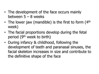 03-Development of face.pptx