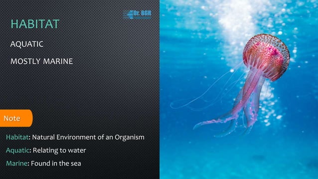General characteristics of Coelenterata | Dr.BGR Publications | PPT