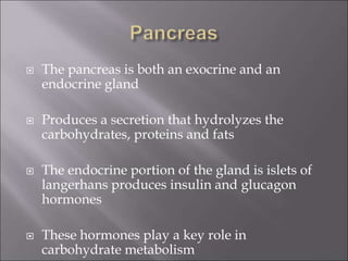 03-Duodenum and Pancreas (1).pptx