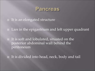 03-Duodenum and Pancreas (1).pptx