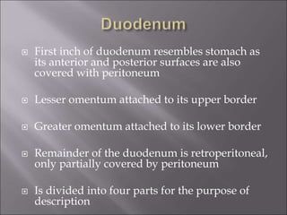 03-Duodenum and Pancreas (1).pptx