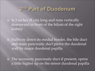 03-Duodenum and Pancreas (1).pptx