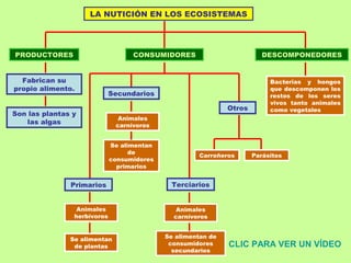 03 ecosistemas | PPT
