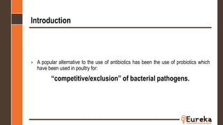 Effect of Probiotic (saccharomyces cerevisiae) on Performance of ...
