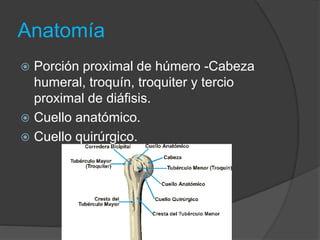fracturas proximales de humero | PPTX