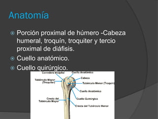 Fracturas Humero tercio proximal | PPTX