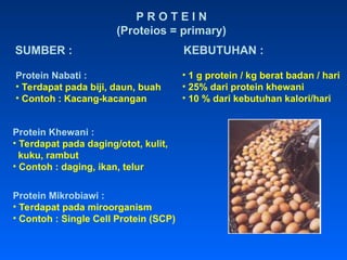03-Komposisi Bahan Pangan Bahan Pangan Bahan Pangan | PPT