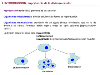 03. la división celular | PPT