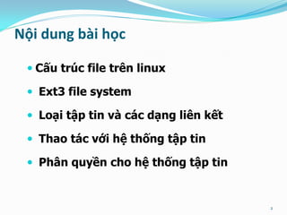 Lesson 3 - Linux File System | PPT