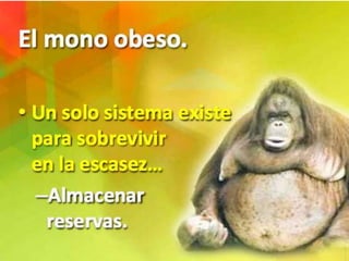 Medicina Evolucionista. El mono obeso | PPTX