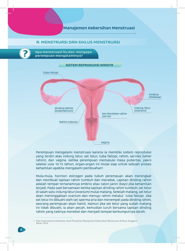 Panduan MKM Bagi Guru dan Orang Tua | PDF